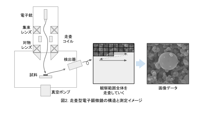 【2024年】走査型電子顕微鏡 メーカー13社一覧・製品価格 | Metoree