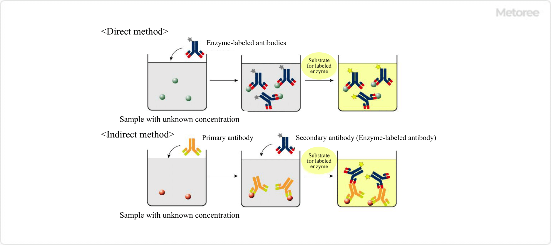 4 ELISA Kit Manufacturers in 2024 | Metoree