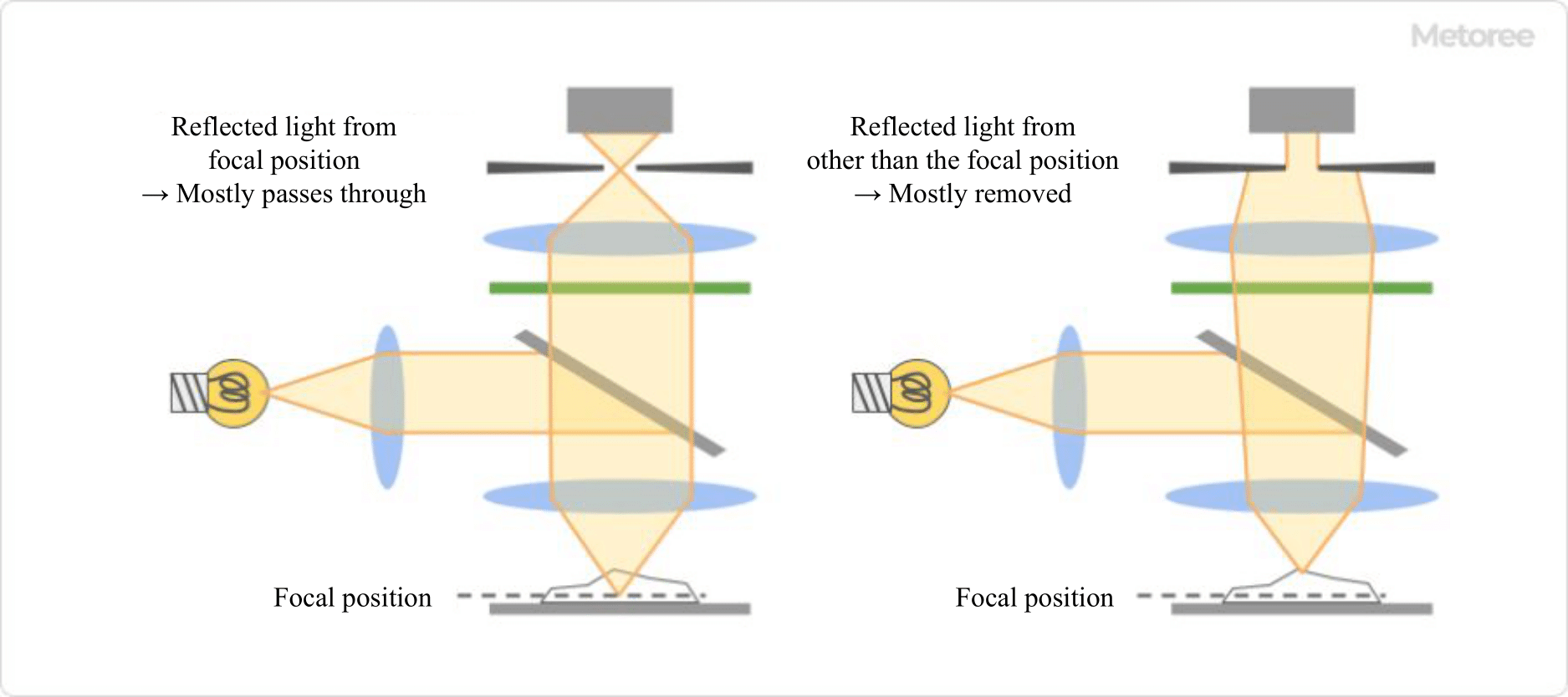 8 Confocal Microscope Manufacturers in 2024 | Metoree