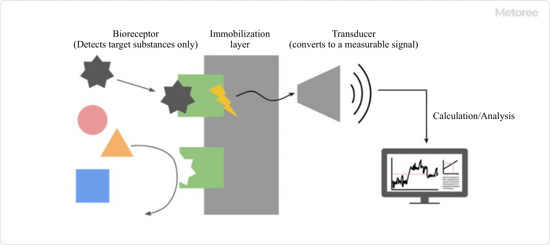13 Biosensor Manufacturers in 2024 | Metoree