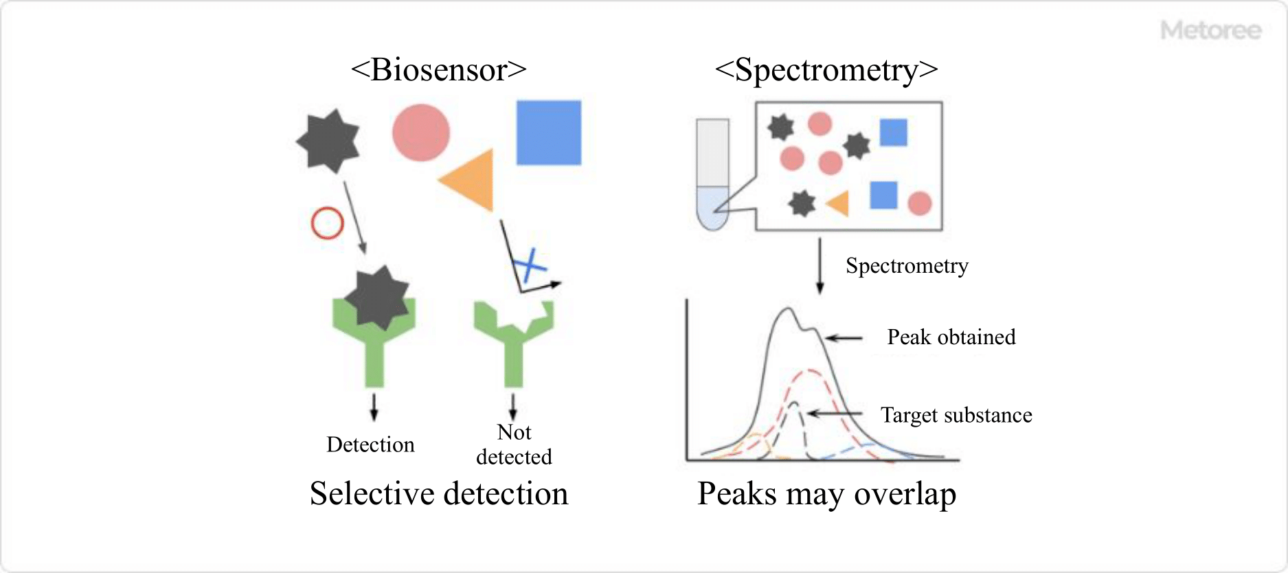 13 Biosensor Manufacturers in 2024 | Metoree