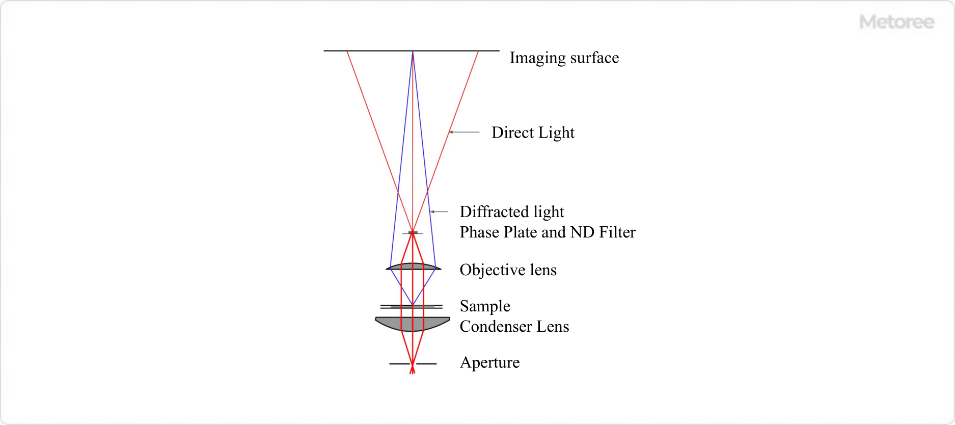 6 Phase Contrast Microscope Manufacturers in 2024 | Metoree