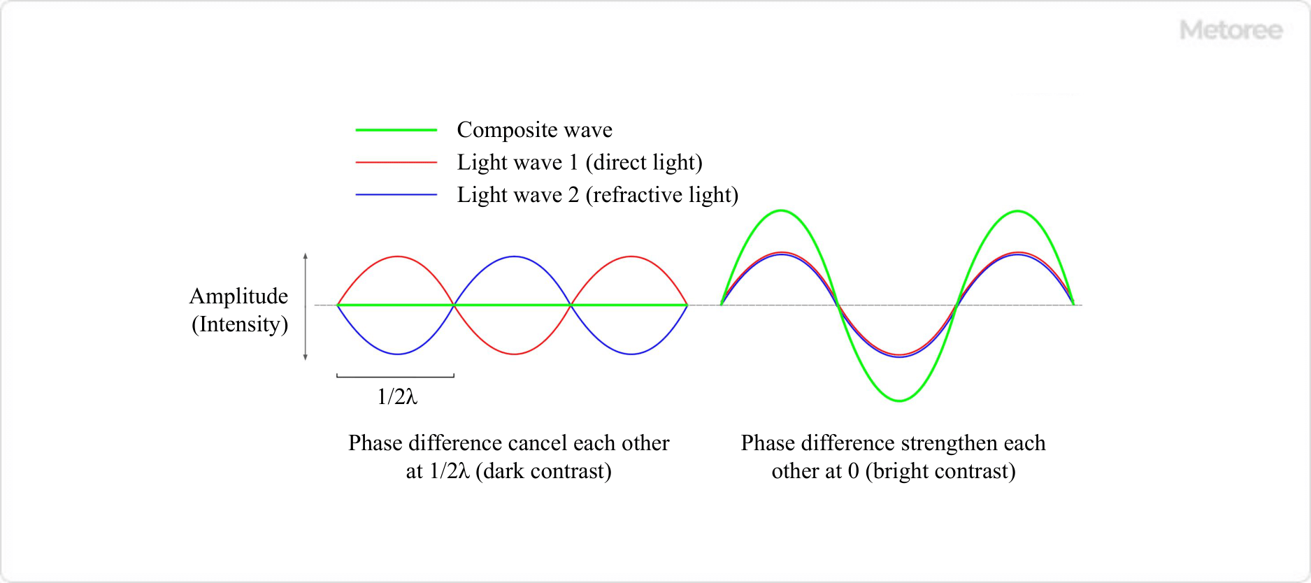 6 Phase Contrast Microscope Manufacturers in 2024 | Metoree