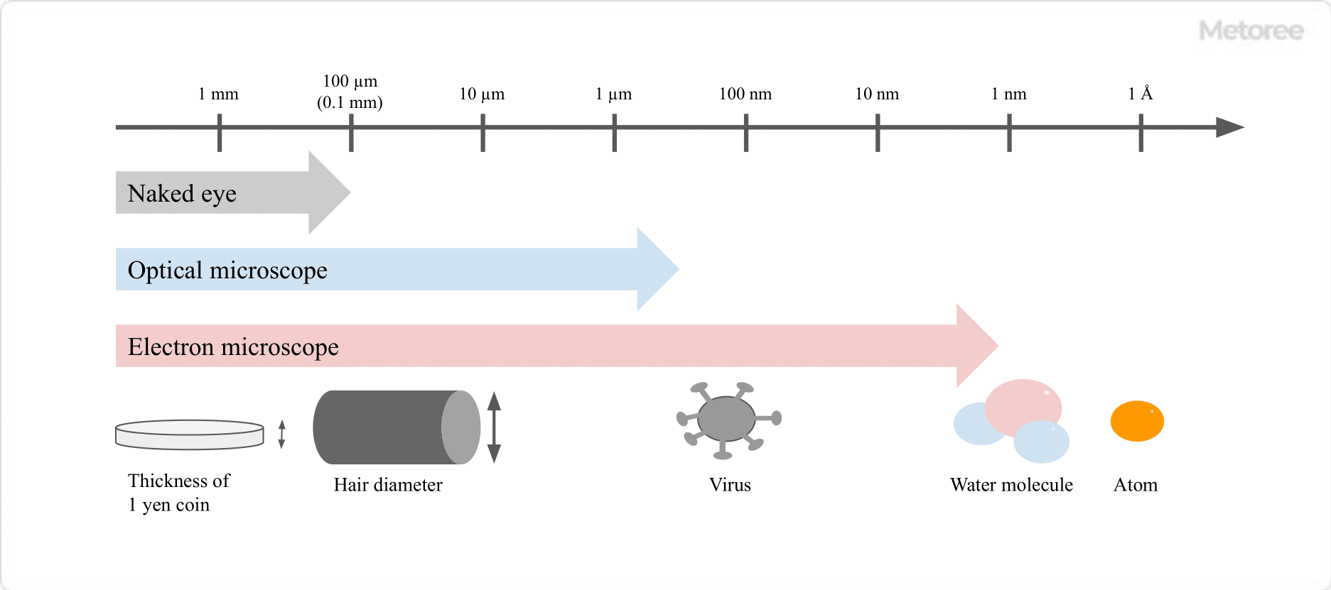 11 Scanning Electron Microscope (SEM) Manufacturers in 2024 | Metoree