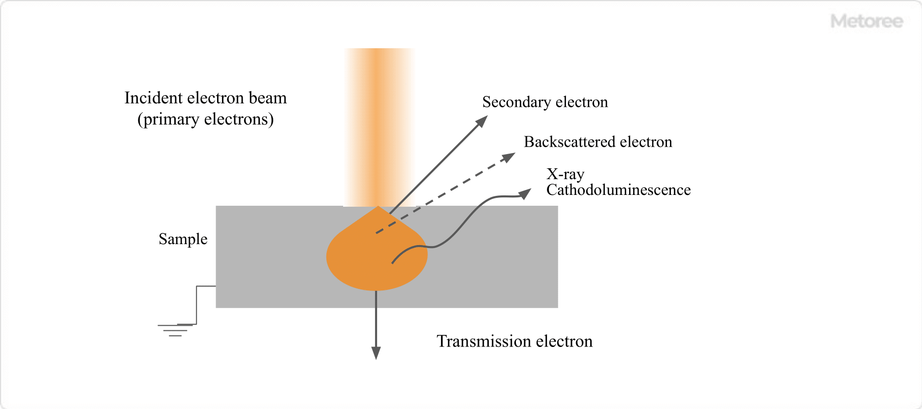 11 Scanning Electron Microscope (SEM) Manufacturers in 2024 | Metoree