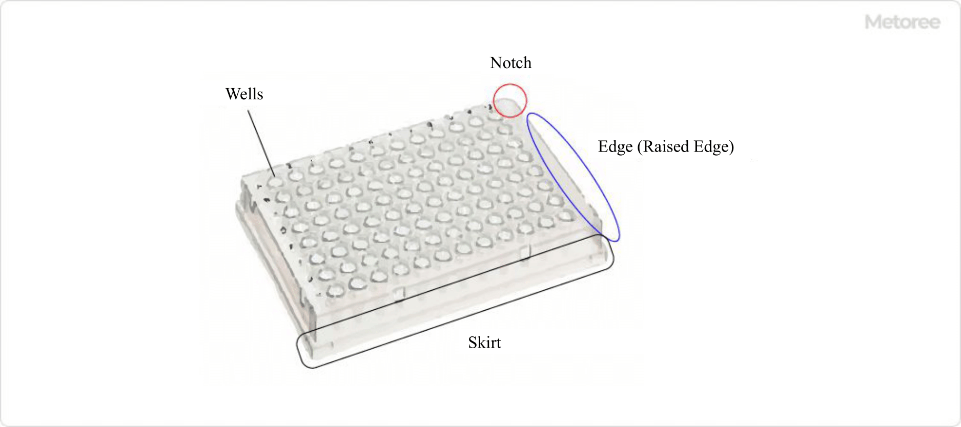 20 PCR Plate Manufacturers in 2024 | Metoree