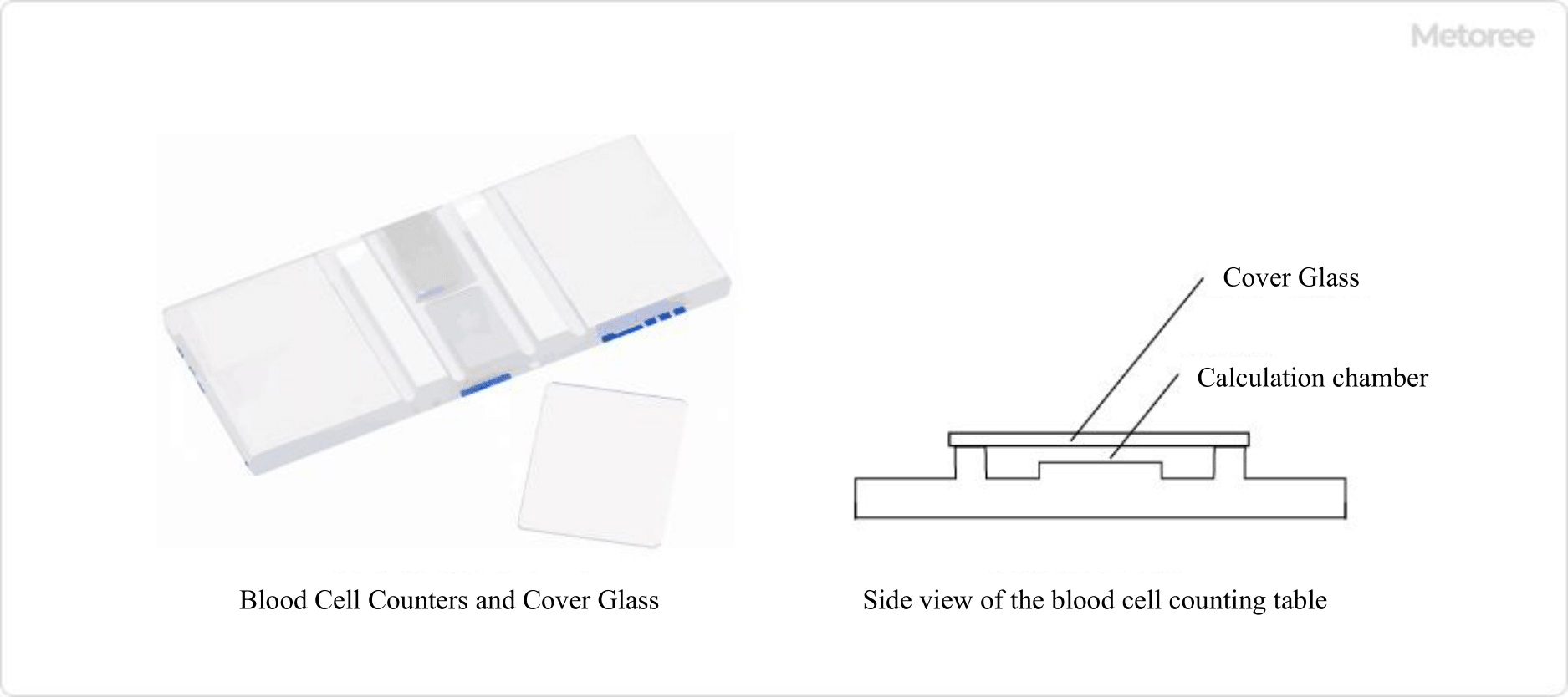 9 Counting Chamber Manufacturers in 2024 | Metoree