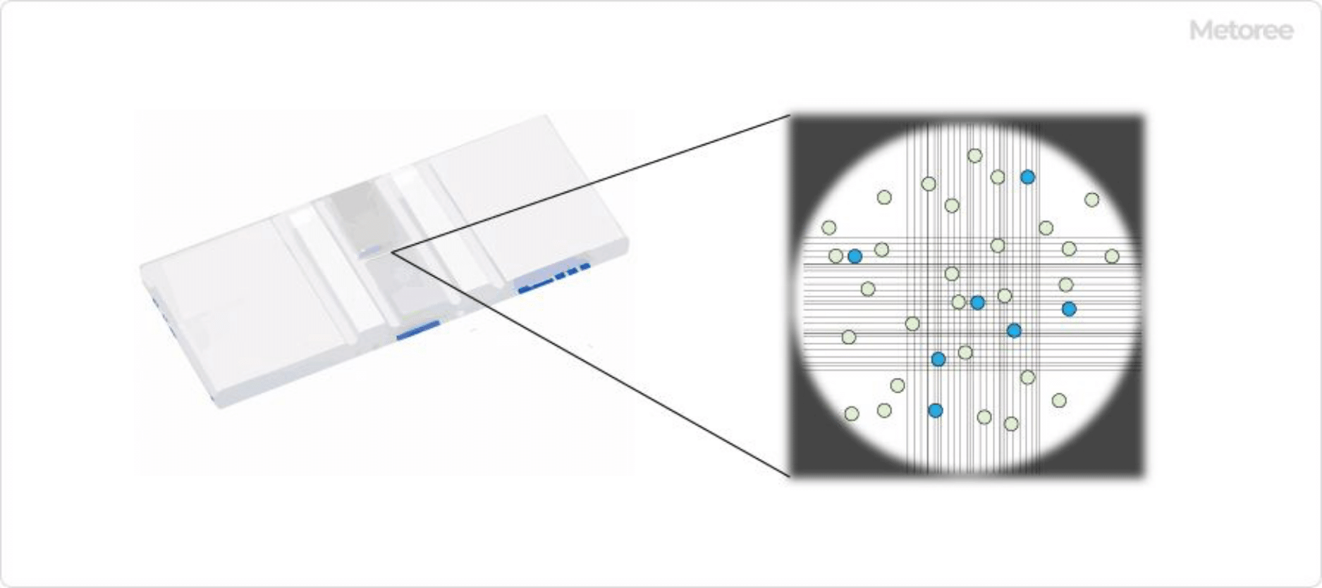 9 Counting Chamber Manufacturers in 2024 | Metoree