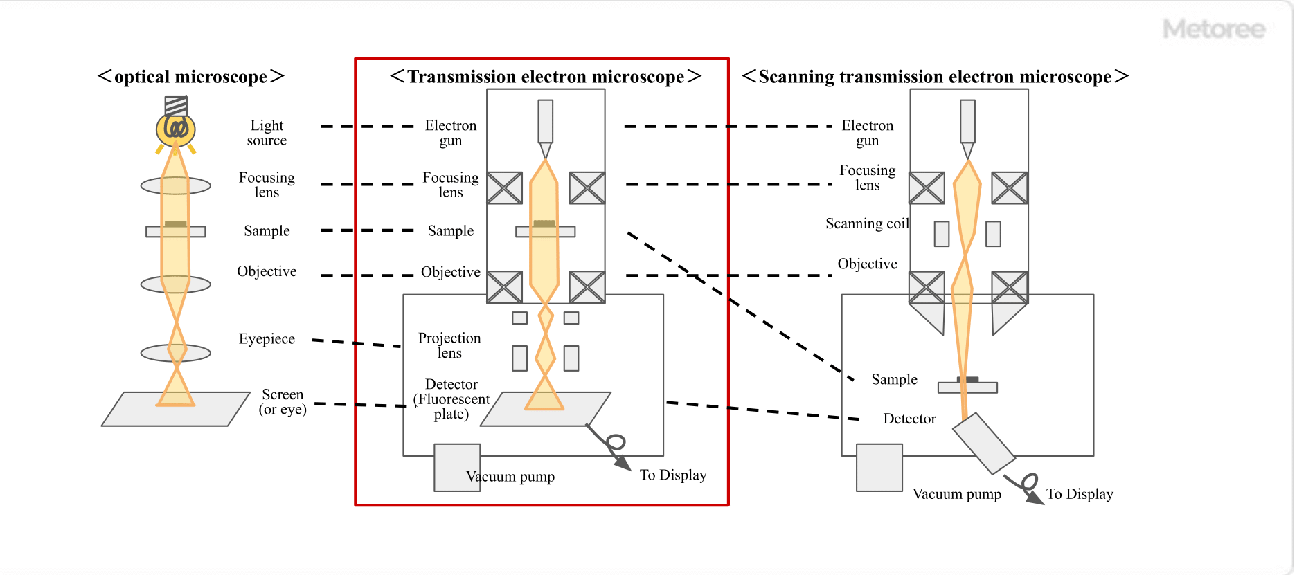 9 Transmission Electron Microscope Manufacturers in 2024 | Metoree