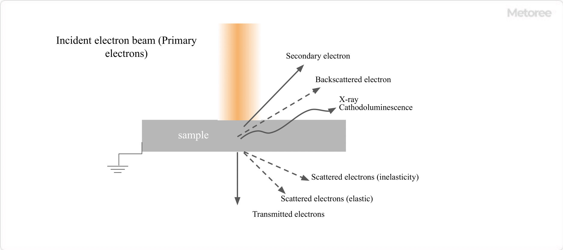 9 Transmission Electron Microscope Manufacturers in 2024 | Metoree