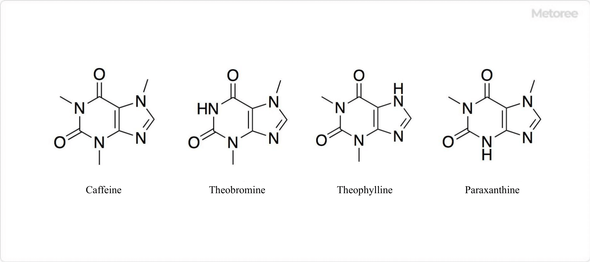 7 Xanthine Manufacturers in 2023 | Metoree