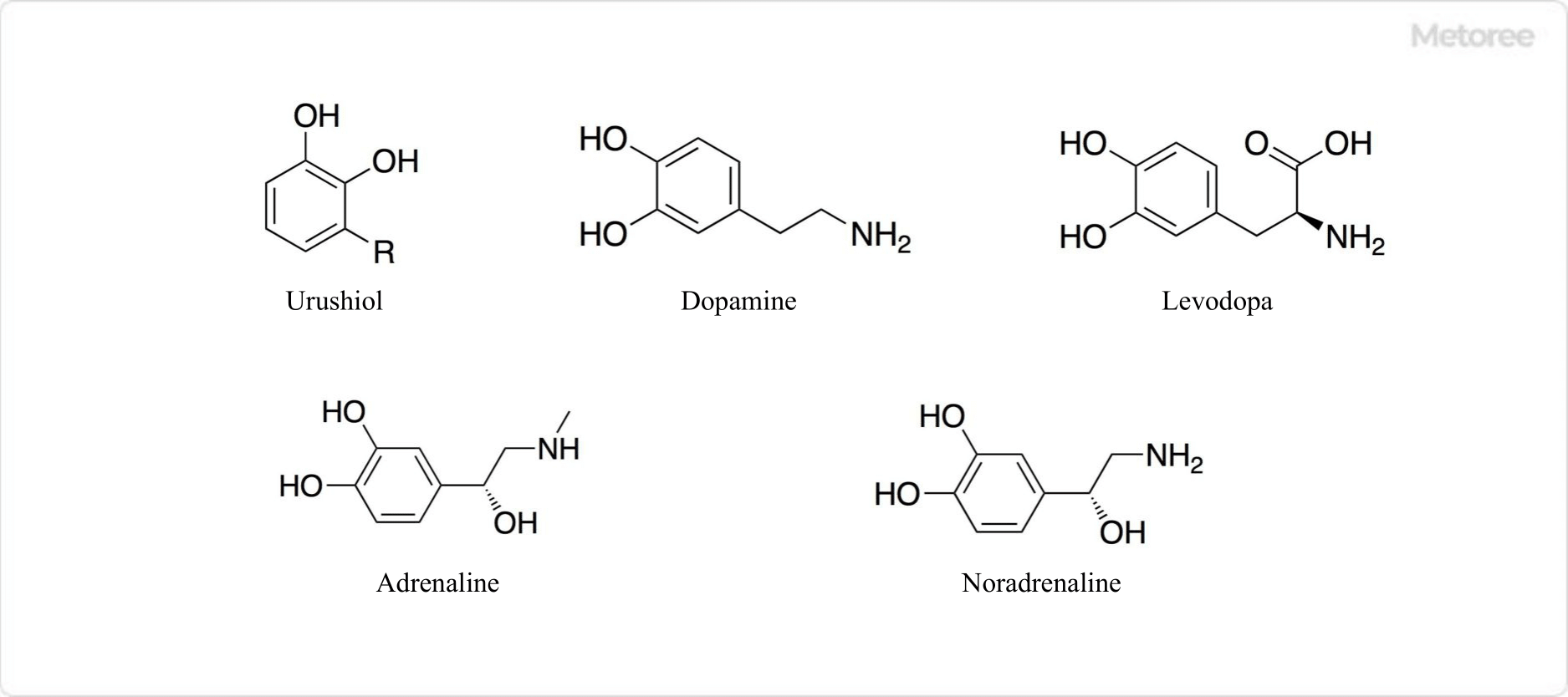 13 Catechol Manufacturers in 2023 | Metoree
