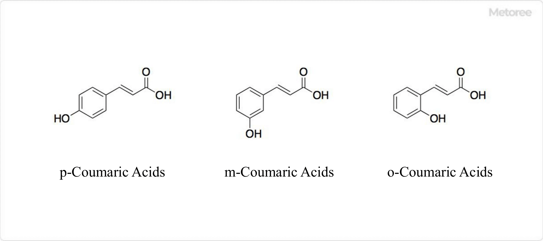 24 Coumaric Acid Manufacturers in 2024 | Metoree