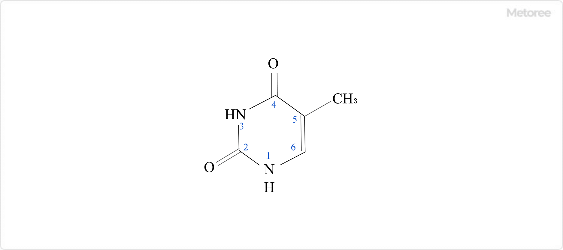 6 Thymine Manufacturers in 2024 | Metoree