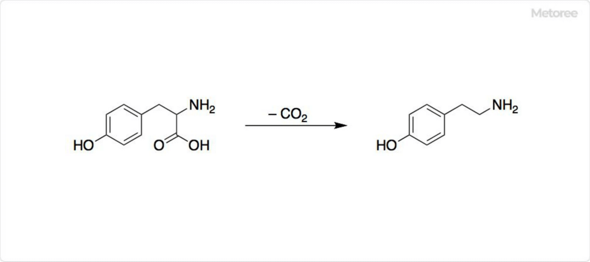 25 Tyramine Manufacturers in 2024 | Metoree